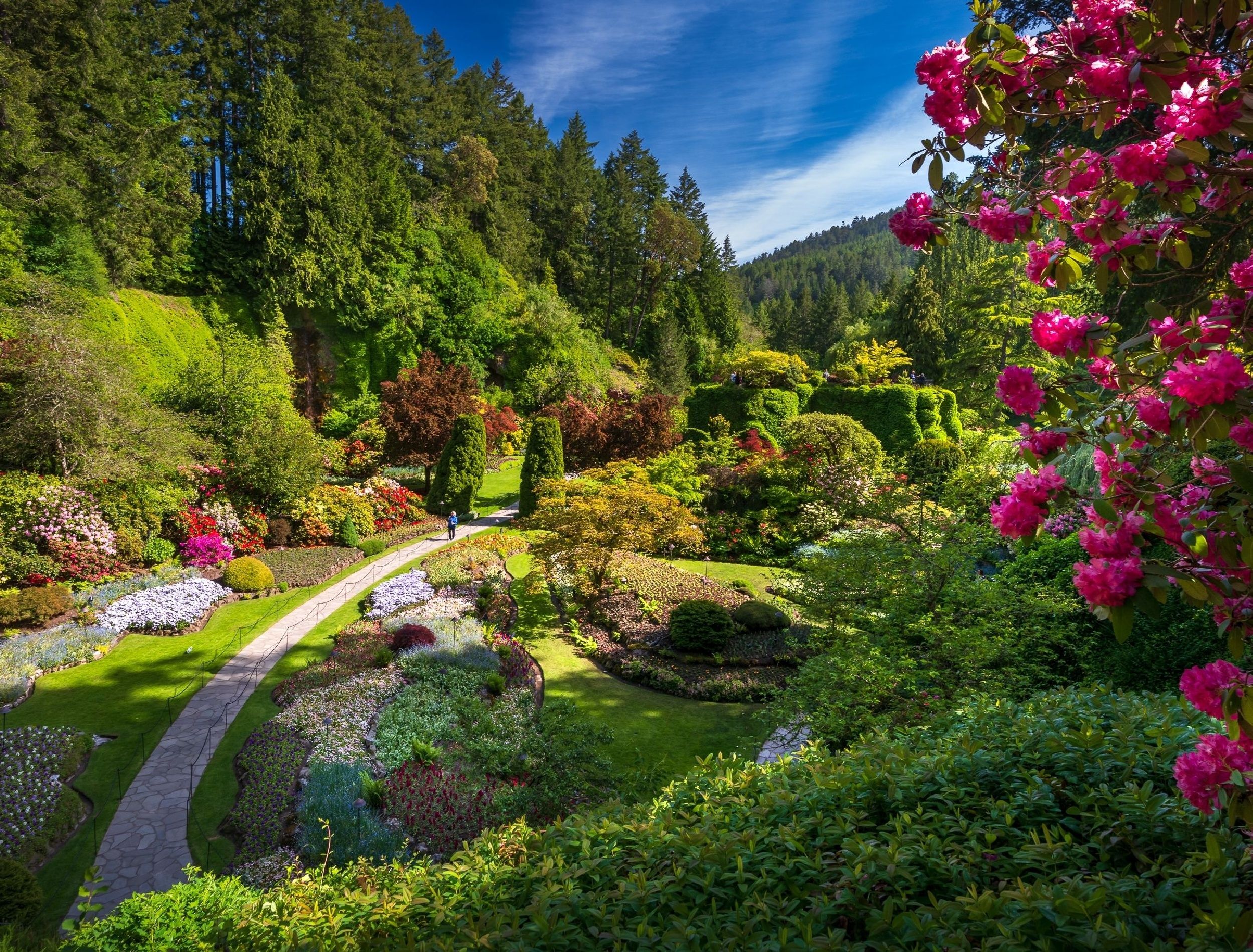 Sunken Garden Ideas: 5 Stunning Designs for a Unique Outdoor Space"