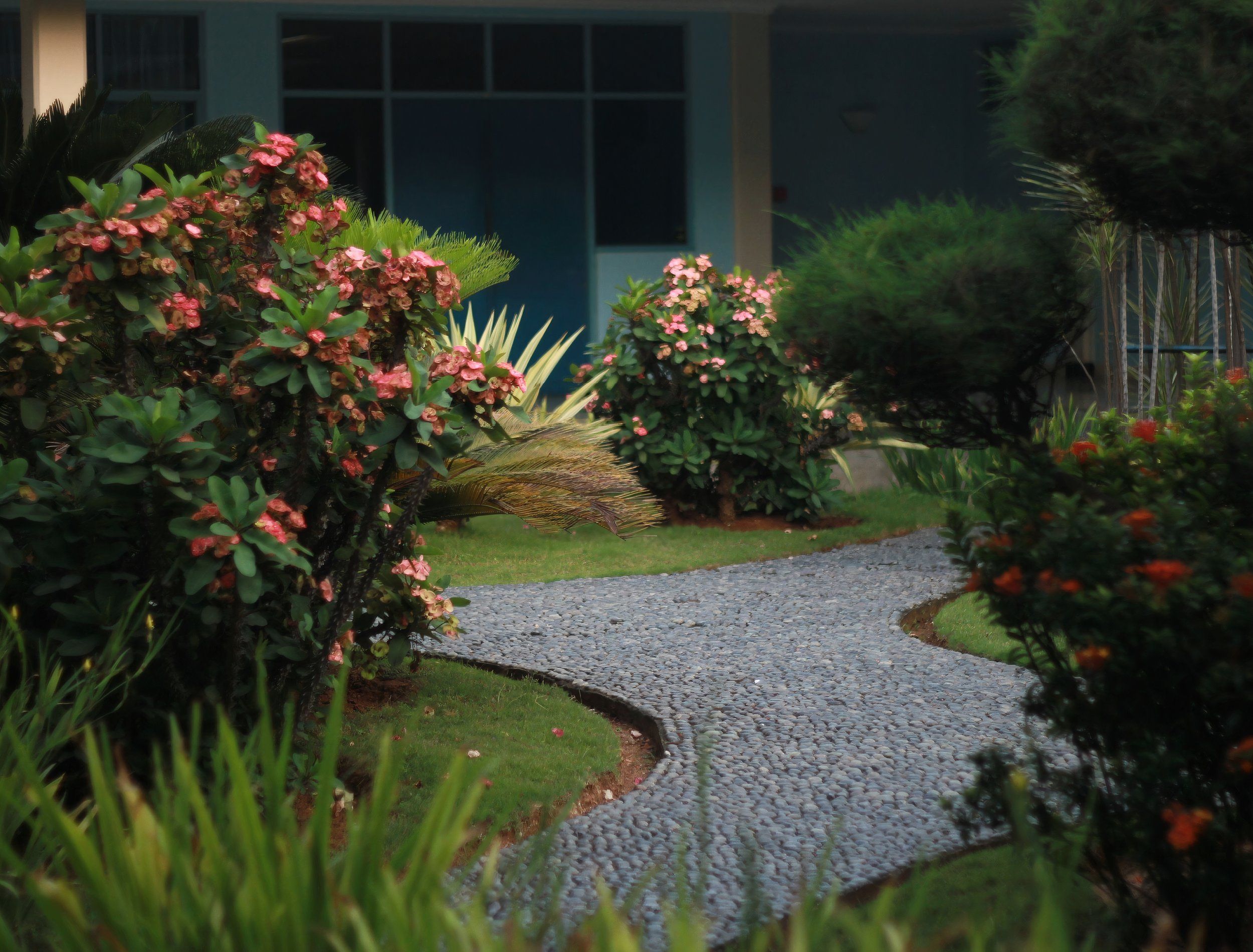Create Stunning Contrast in Your Landscape With Black Rocks