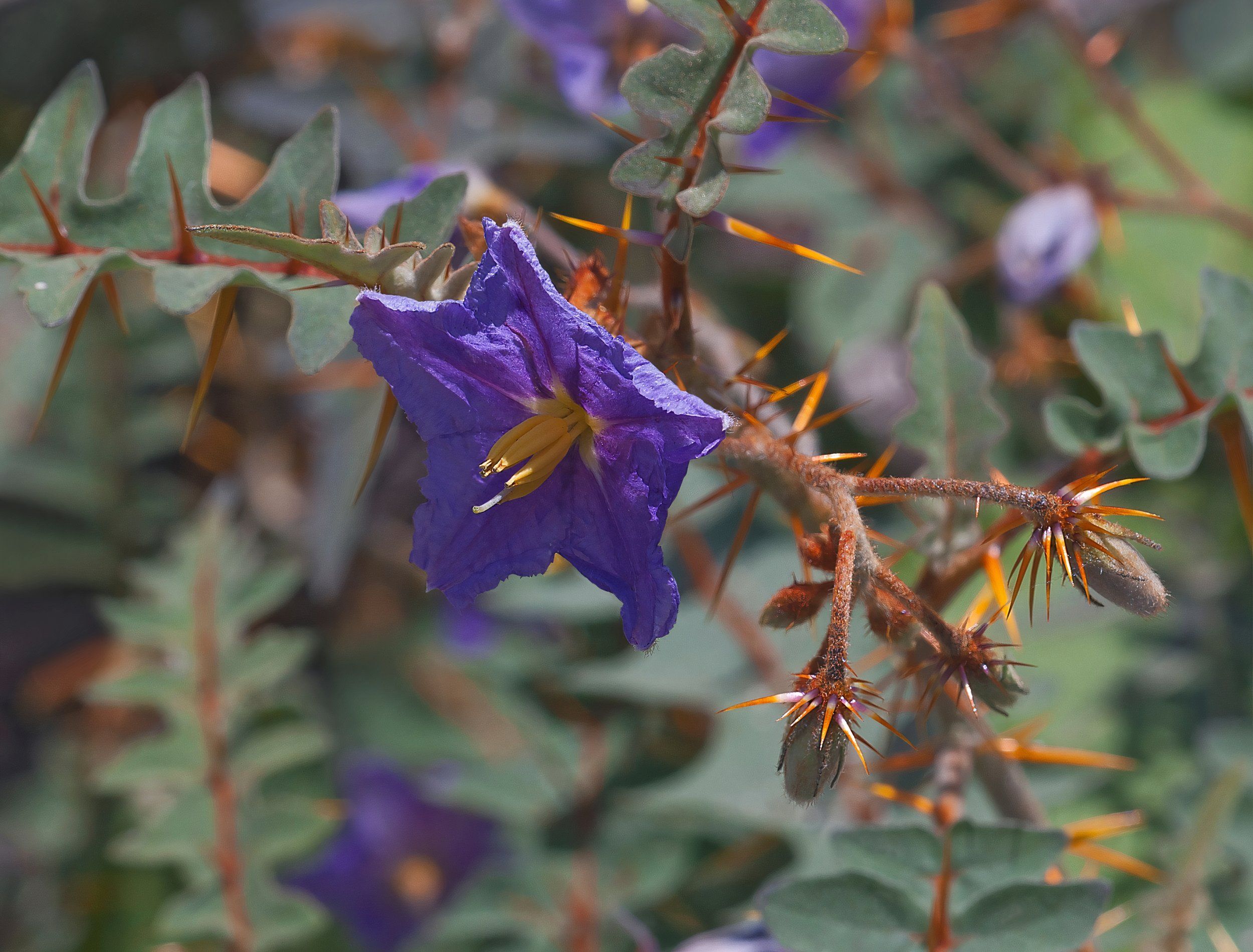 How to Use Epsom Salt to Kill Tree Roots