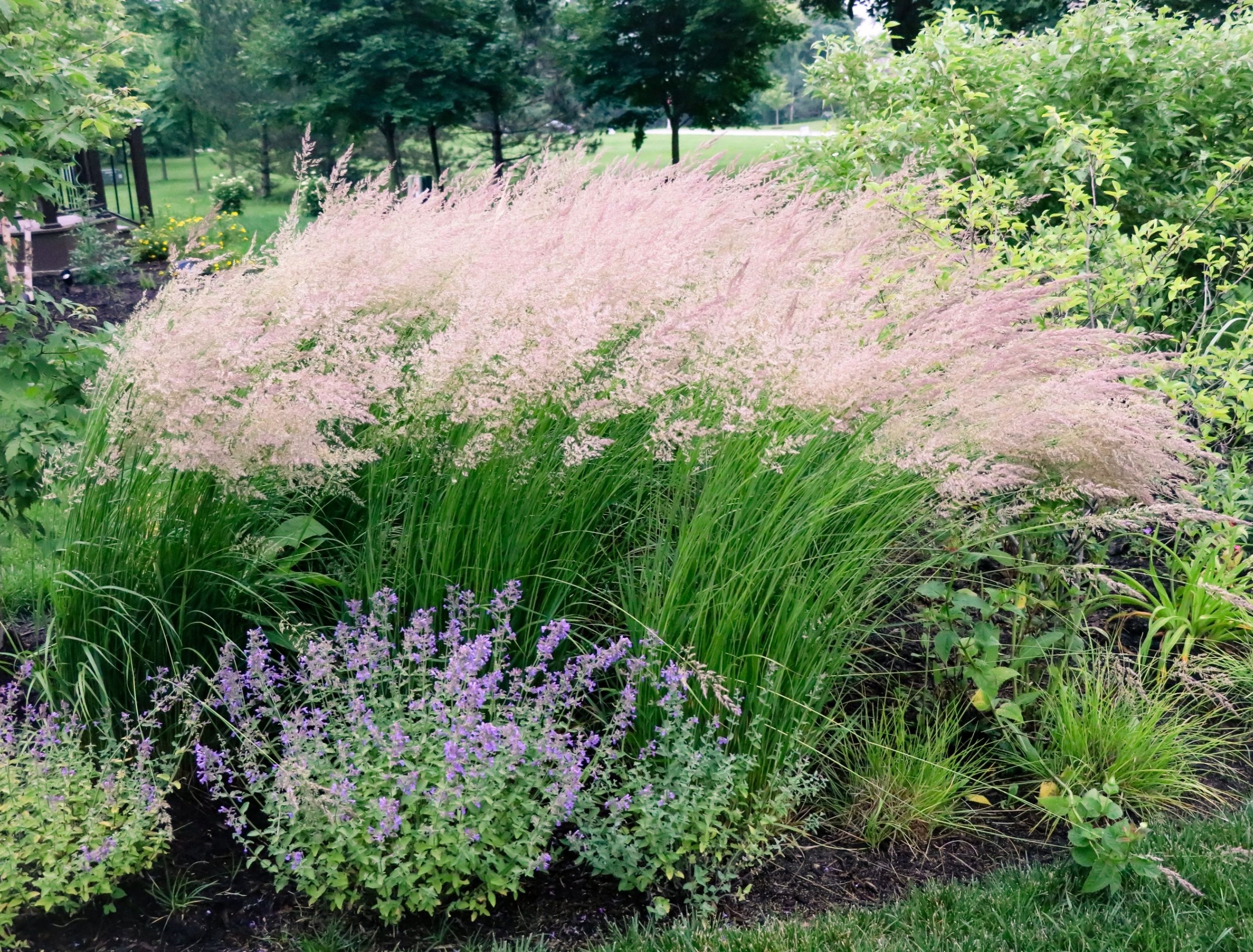 How to Kill Weeds With Rock Salt