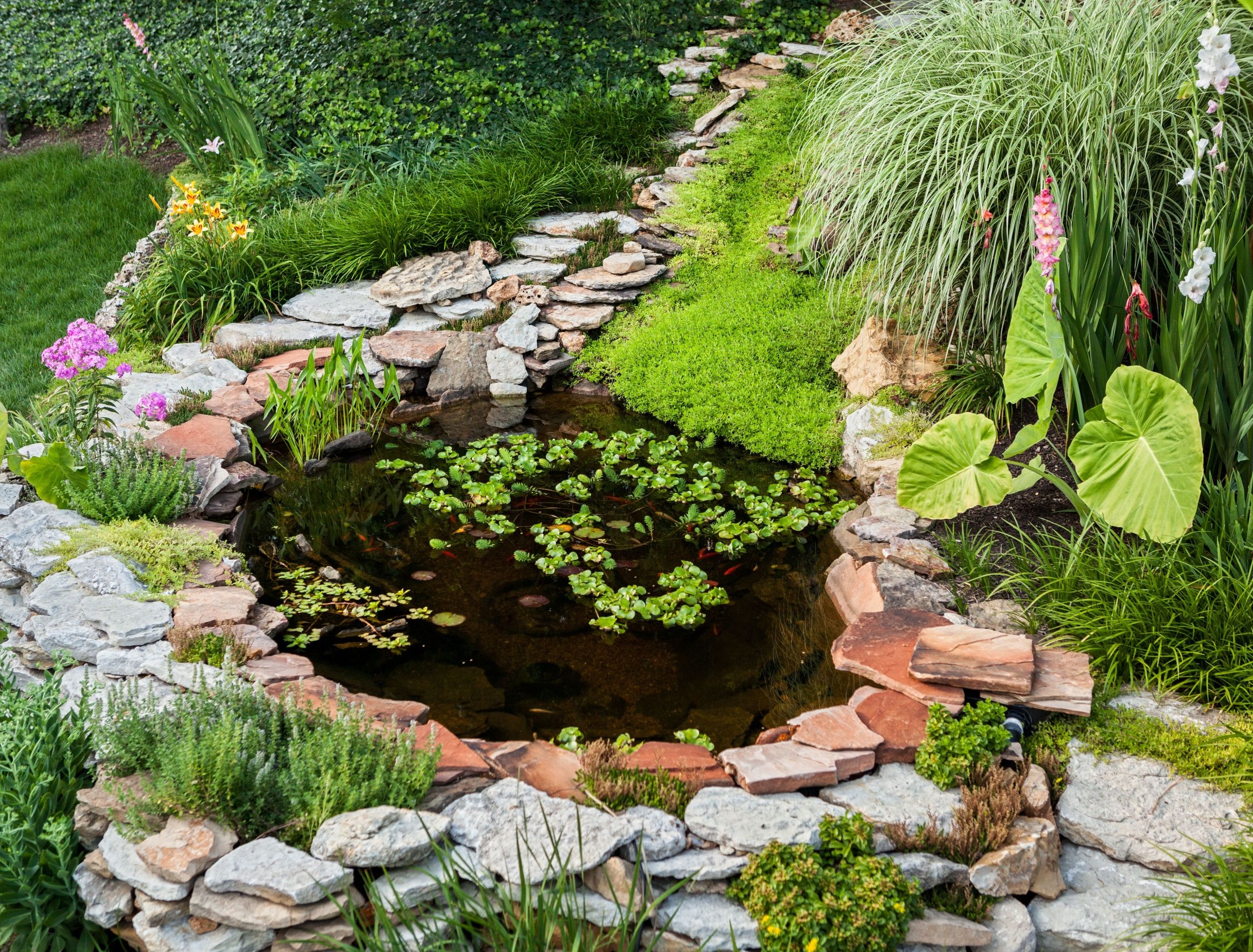 How to Build a Stunning Front Yard Pond That Enhances Curb Appeal