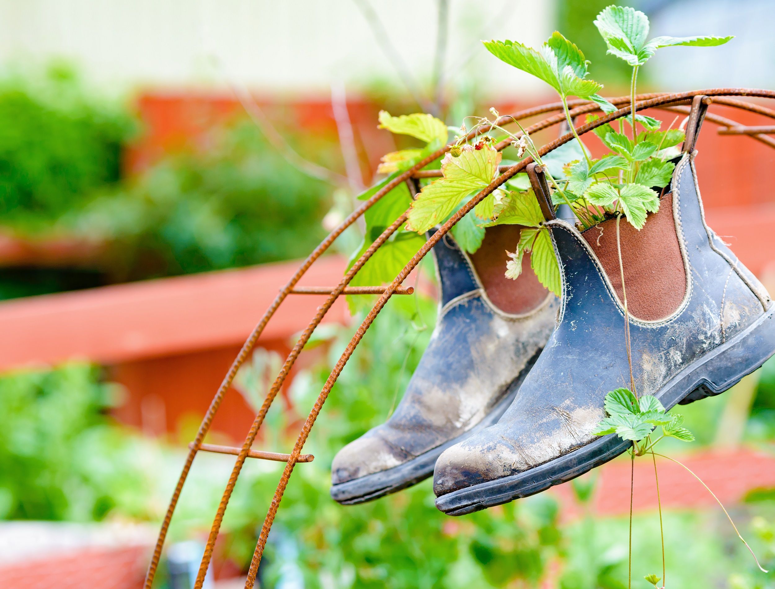 DIY Projects | BackyardBoss