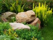 Use DIY And Natural Squirrel Repellents For Pest Control