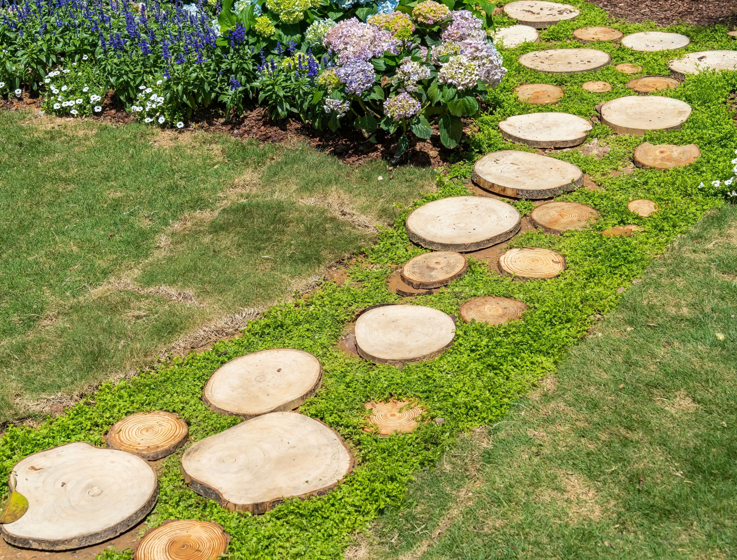 Germinating Seeds Inside Banana Fruits