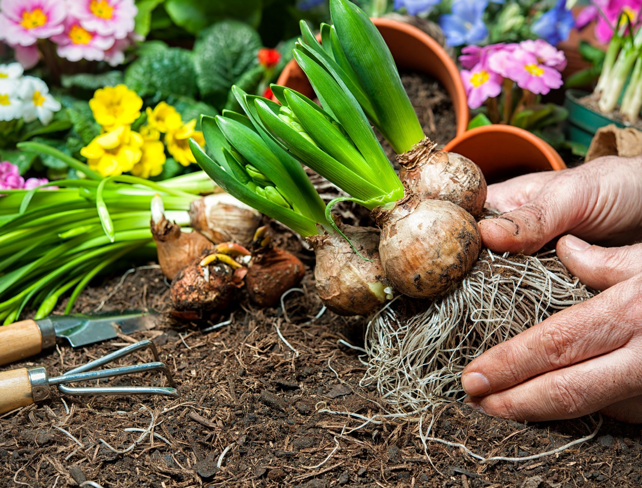9 Indoor Garden Ideas for Small Spaces