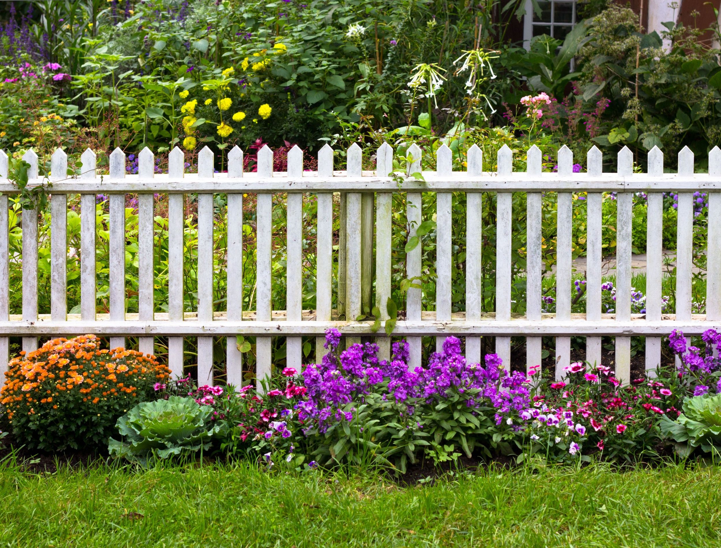 How to Install a White Picket Fence for a Timeless Yard Look