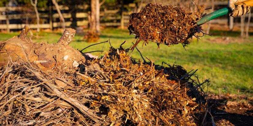 5 Genius Tips to Supercharge Your Garden Soil Naturally