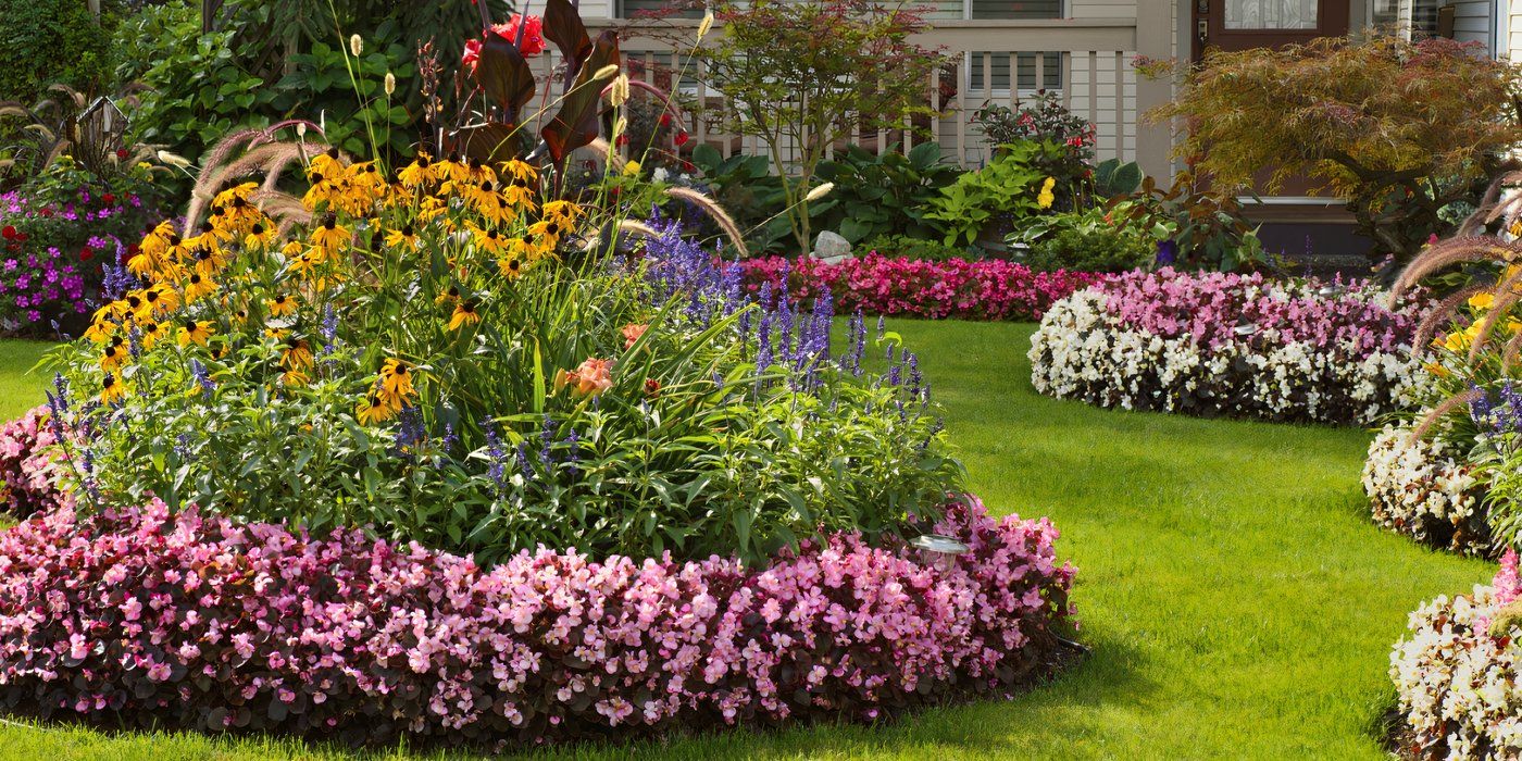 Stunning Backyard Layout Ideas for Every Outdoor Space