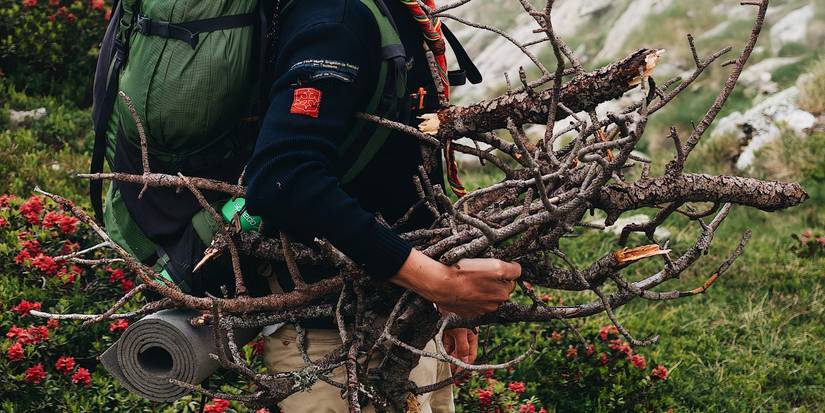 Fresh Spring Decorations: Creative Ways to Use Nests in Your Home