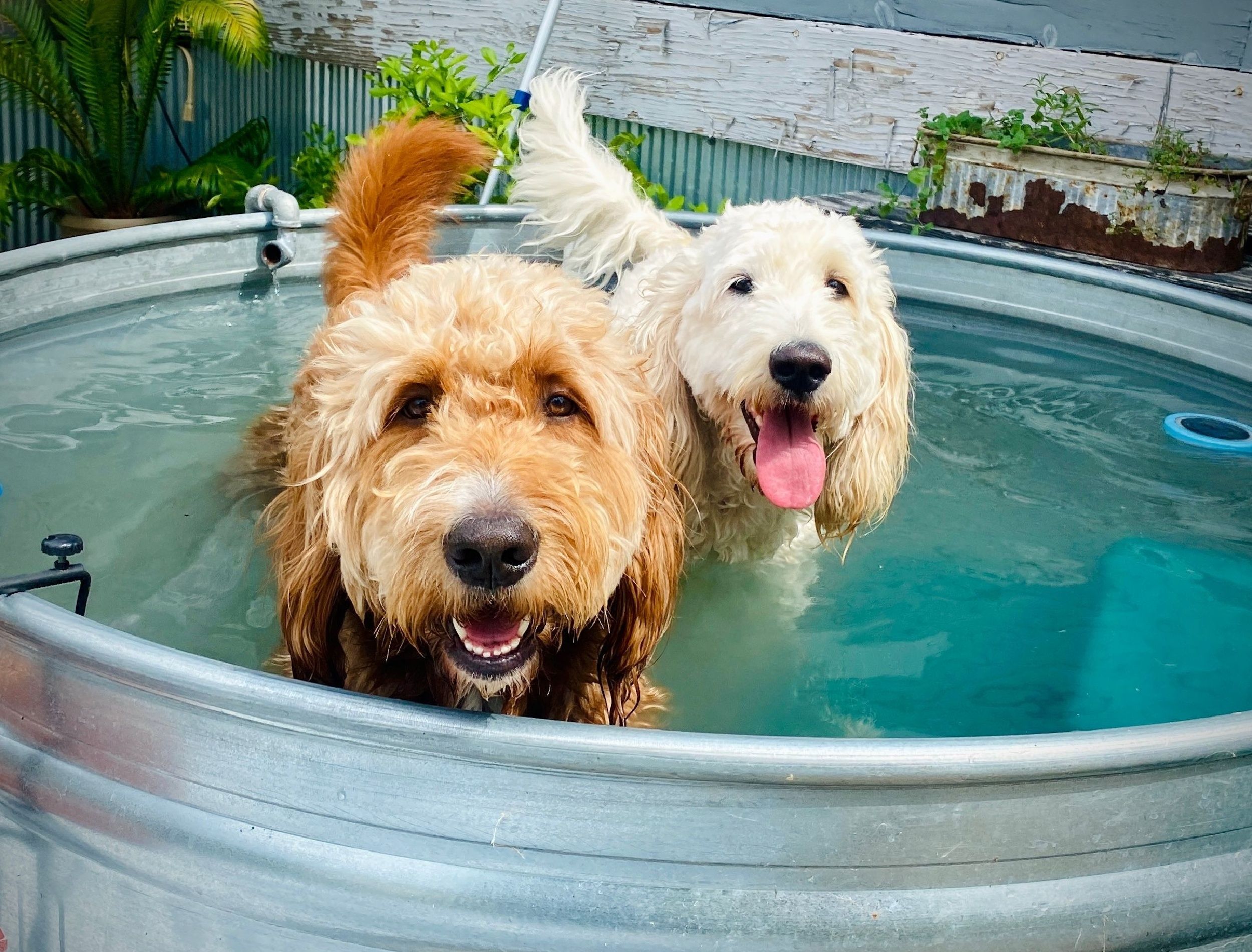 How to Build a Budget-Friendly Hot Tub for Your Backyard