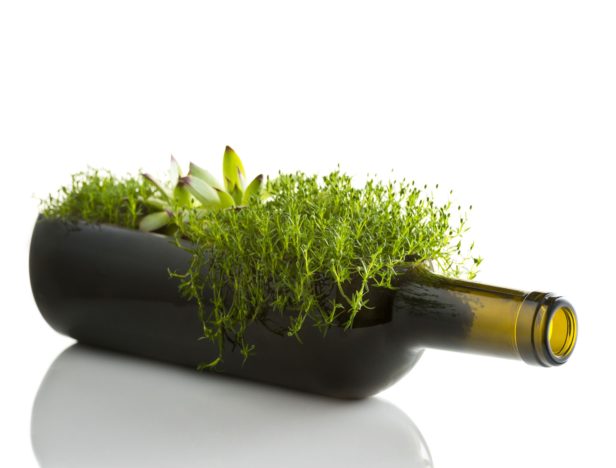 43 Amazing Fence Gate Ideas