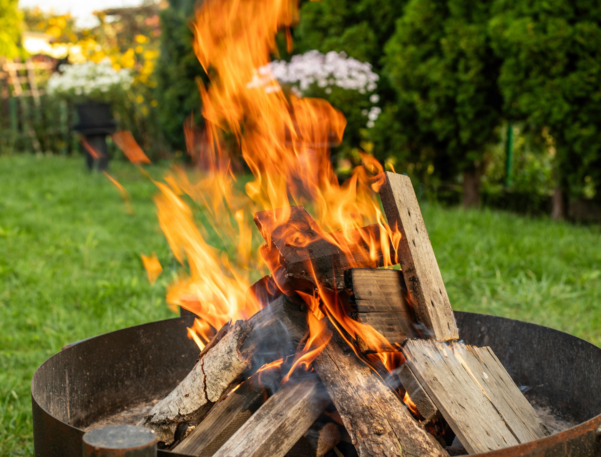 Best Landscaping Plants to Grow Around a Backyard Fire Pit Best Landscaping Plants to Grow Around a Backyard Fire Pit