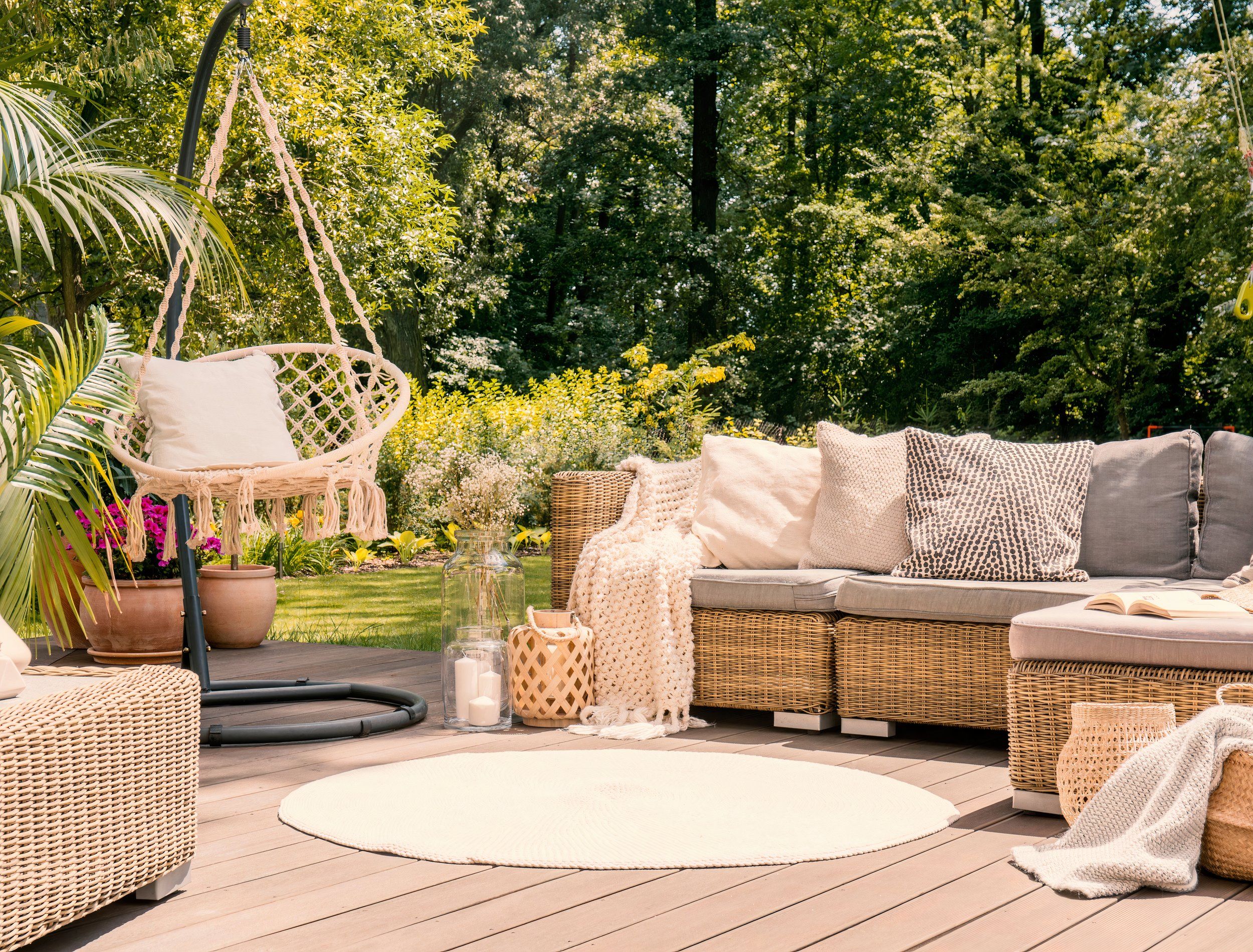 Indirect vs Direct Sunlight: What's the Difference?