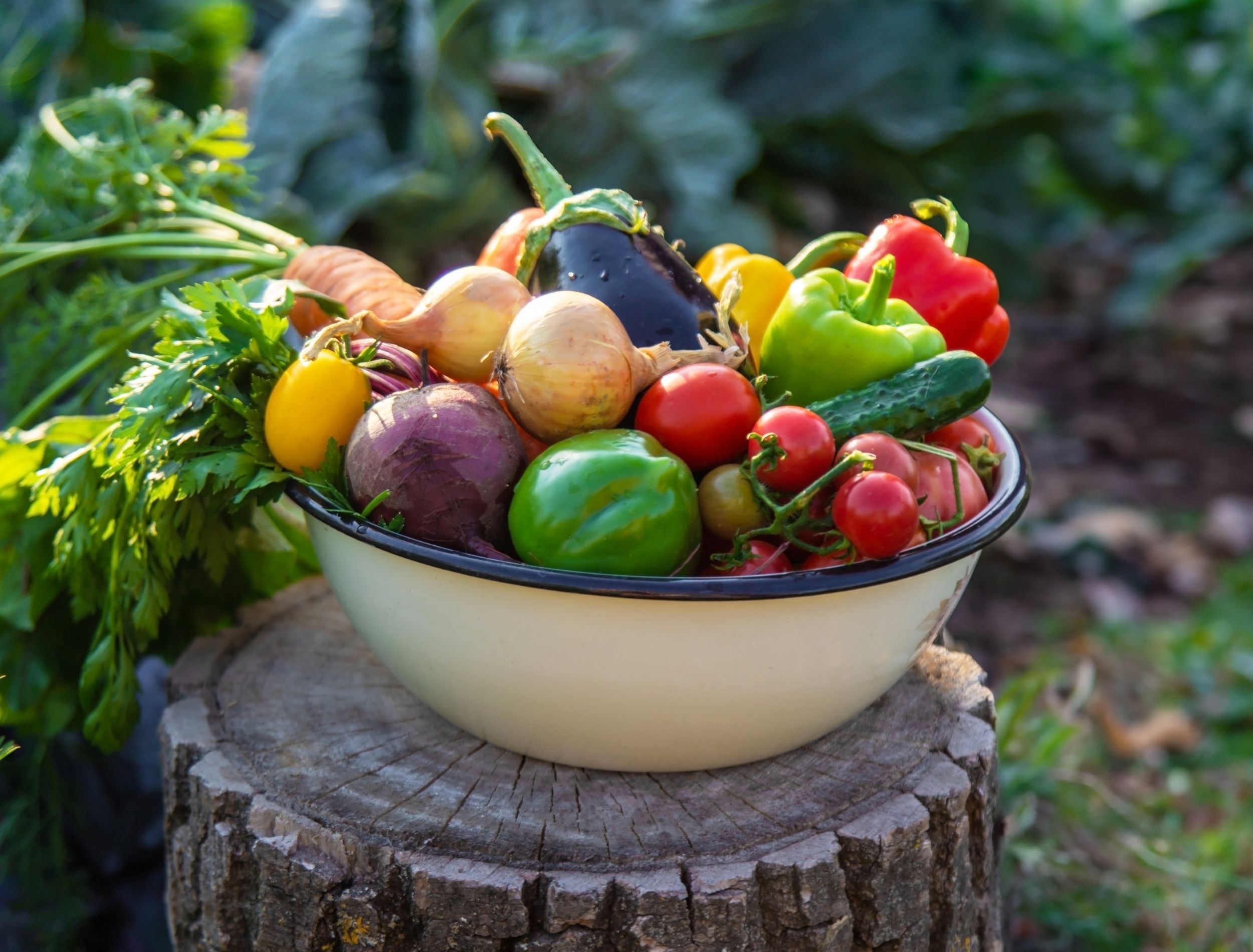 Transform Your Diet With These 6 Garden Veggies