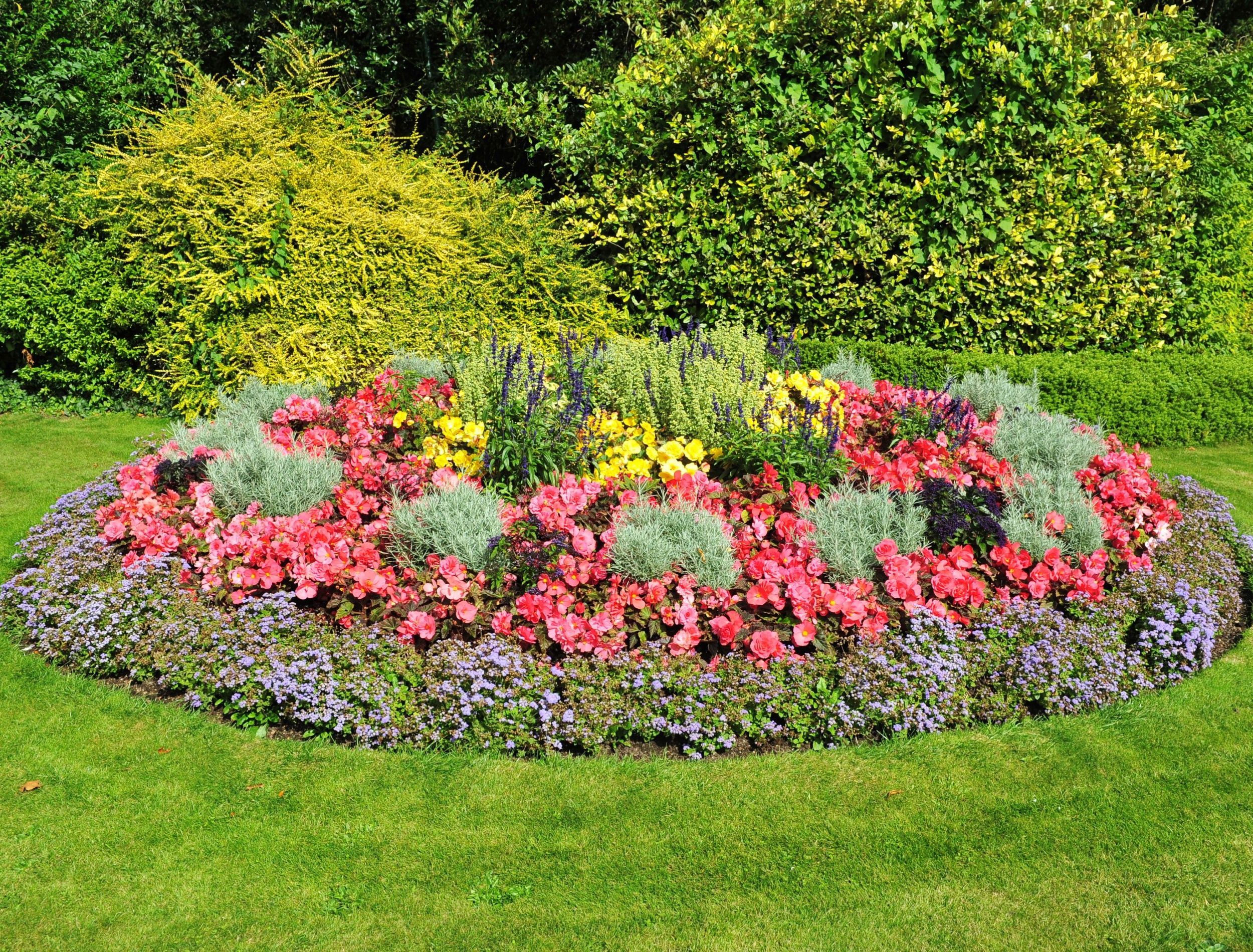 How to Kill Moss With Vinegar