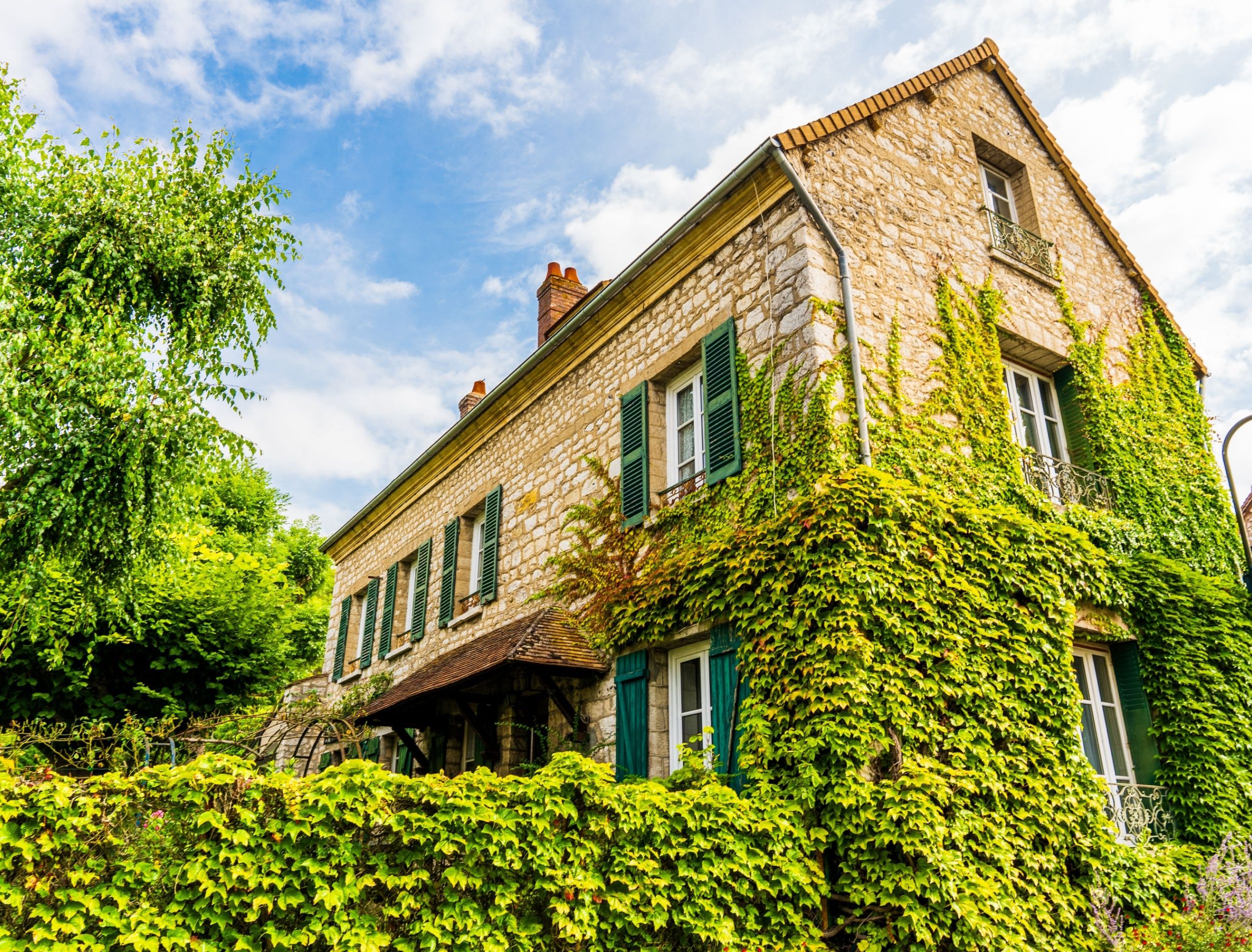 How to Grow Zucchini