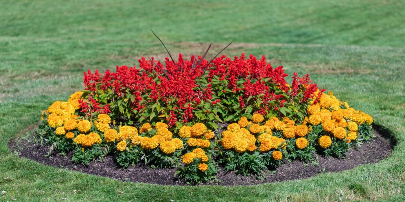 Raised Mound Flower Bed Ideas Using Rocks In Your Flower Garden: Tips