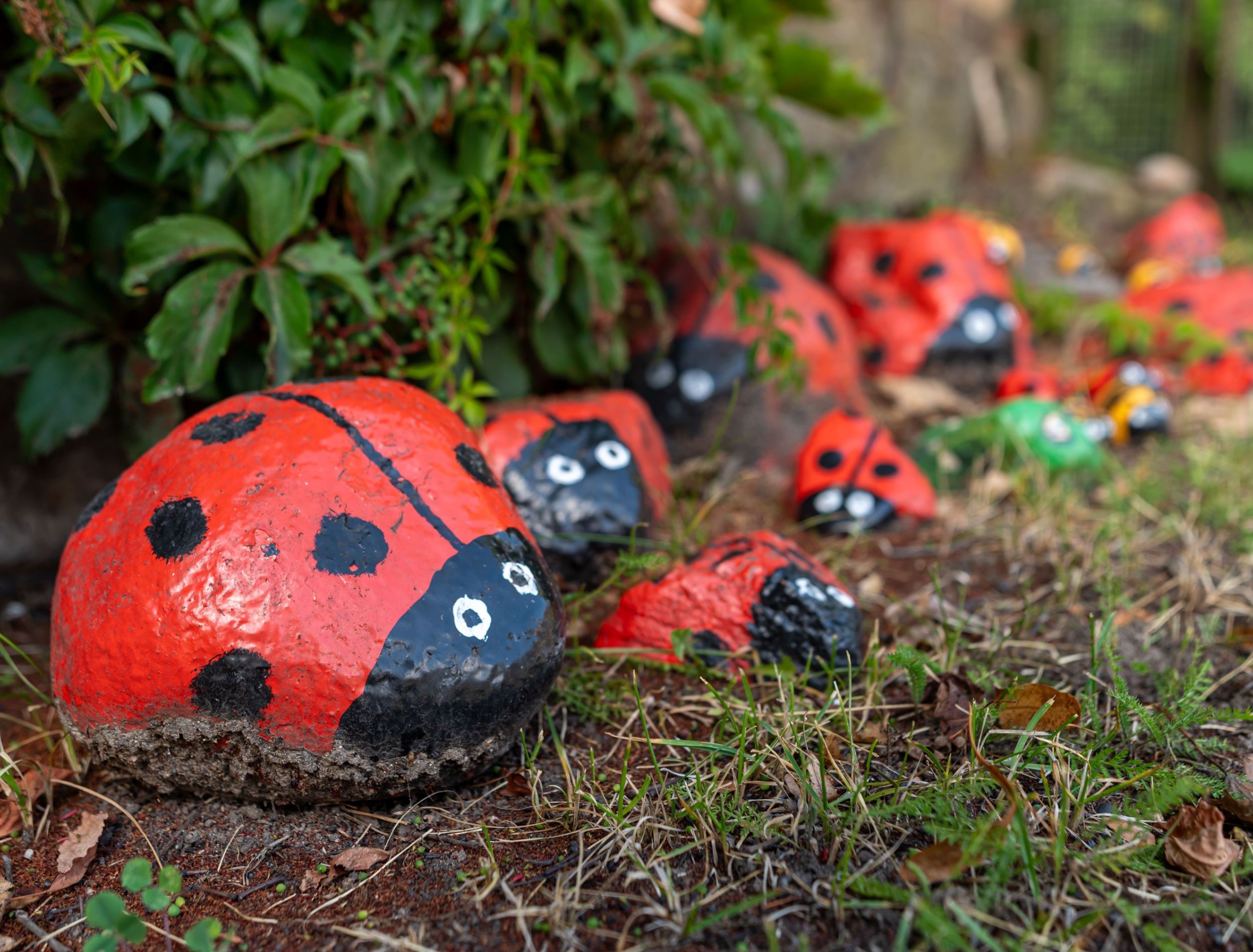 5 DIY Ideas to Boost Curb Appeal with Simple Lawn Decor Projects