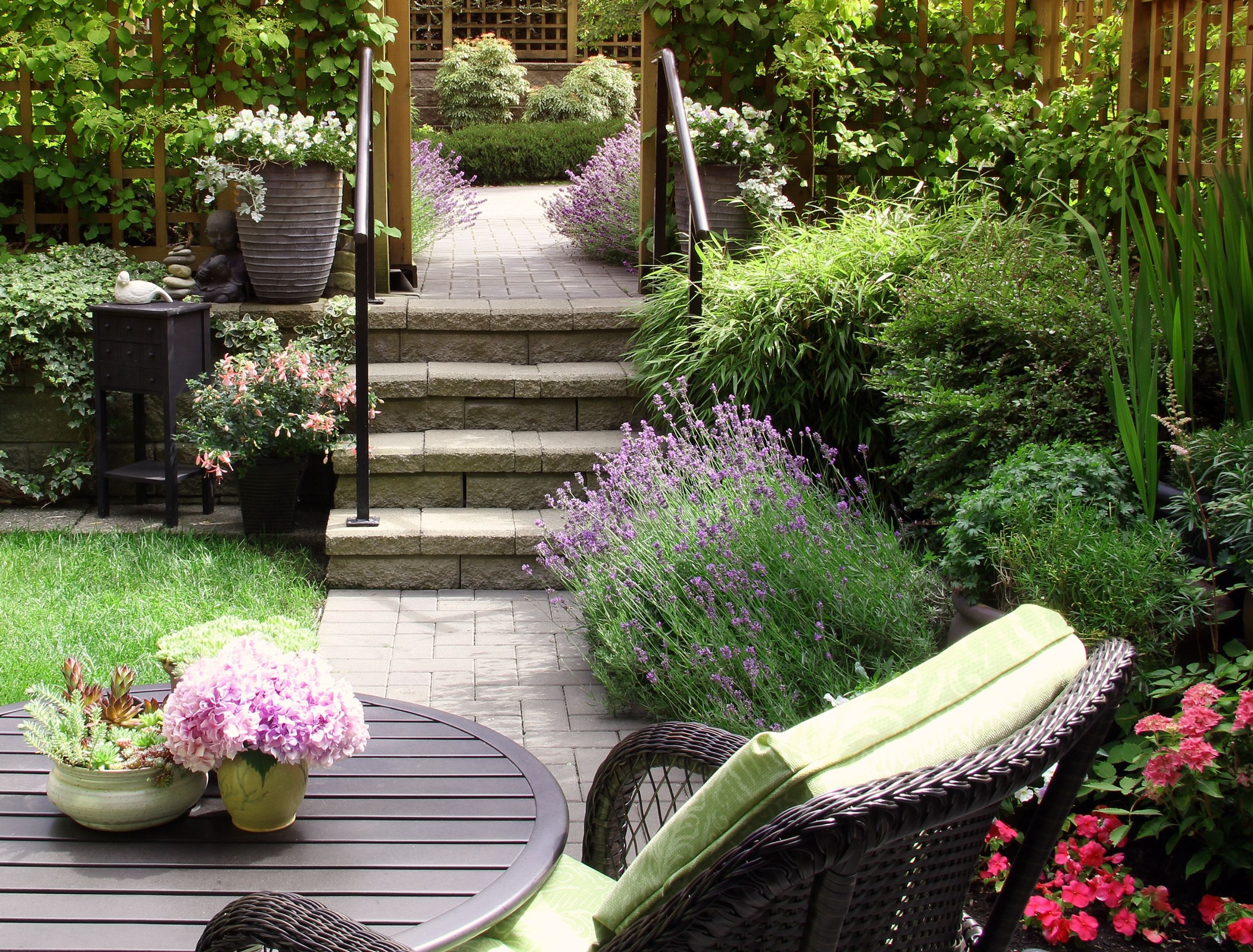 4 Plants That Will Help Turn Your Backyard Into a Spa-Like Oasis