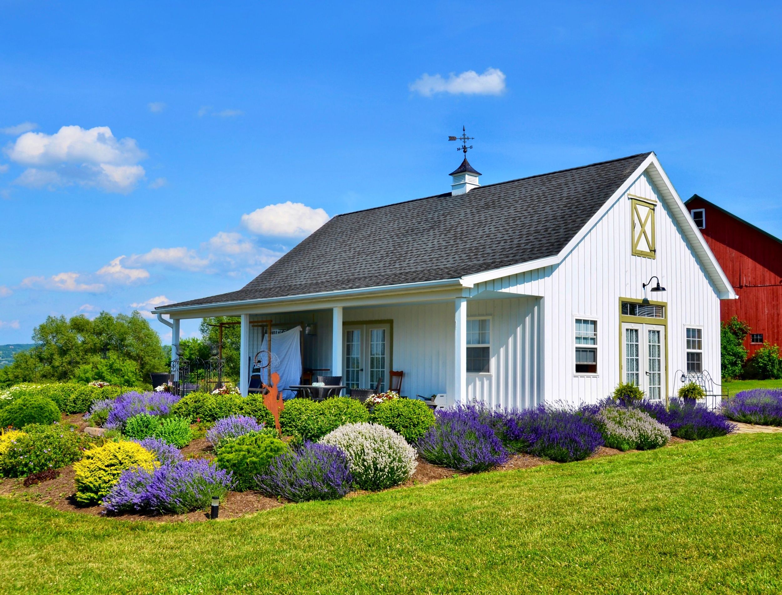 7 Best Fertilizer for Rhododendrons