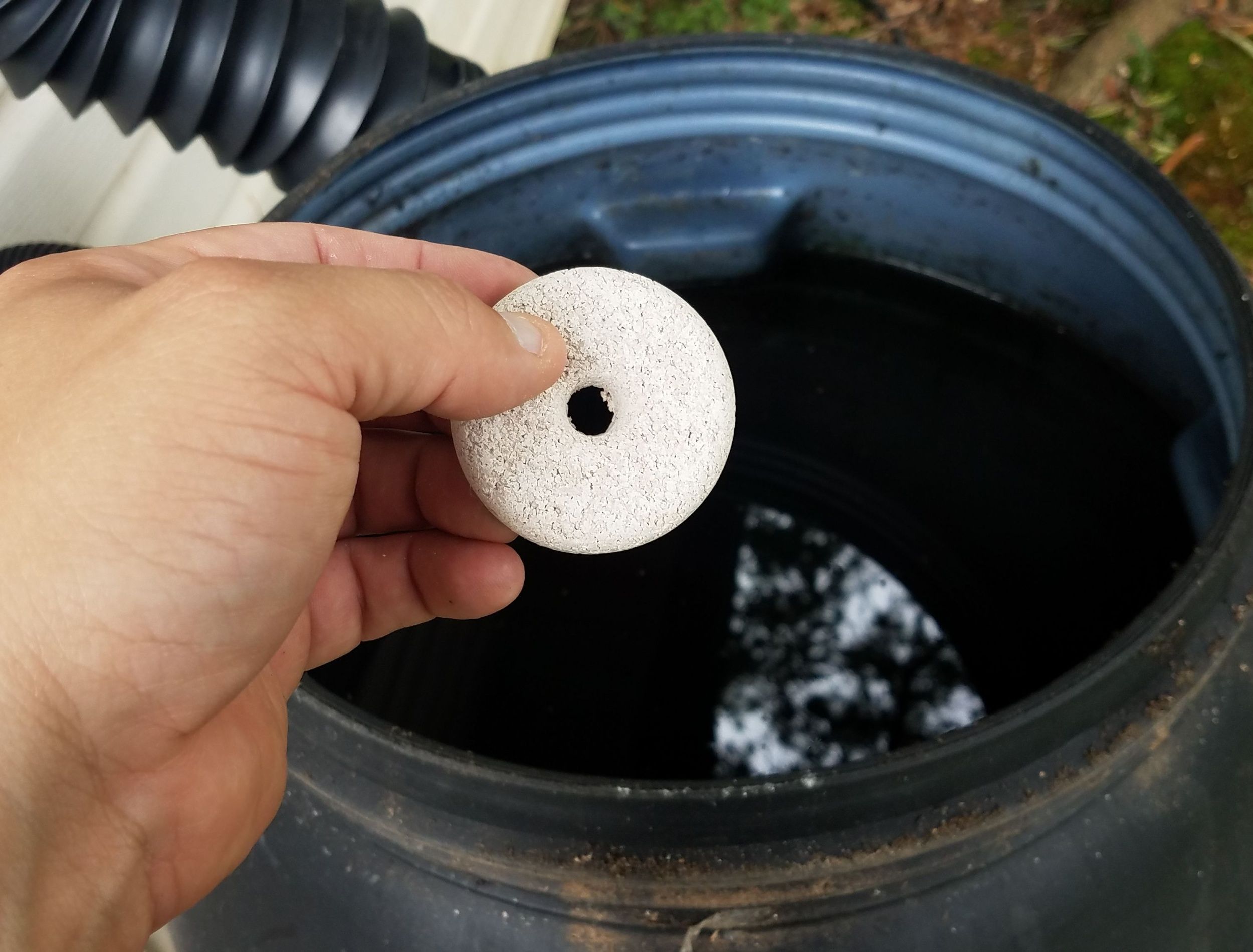 Mosquito Dunks: The Eco-Friendly Secret to a Bite-Free Backyard