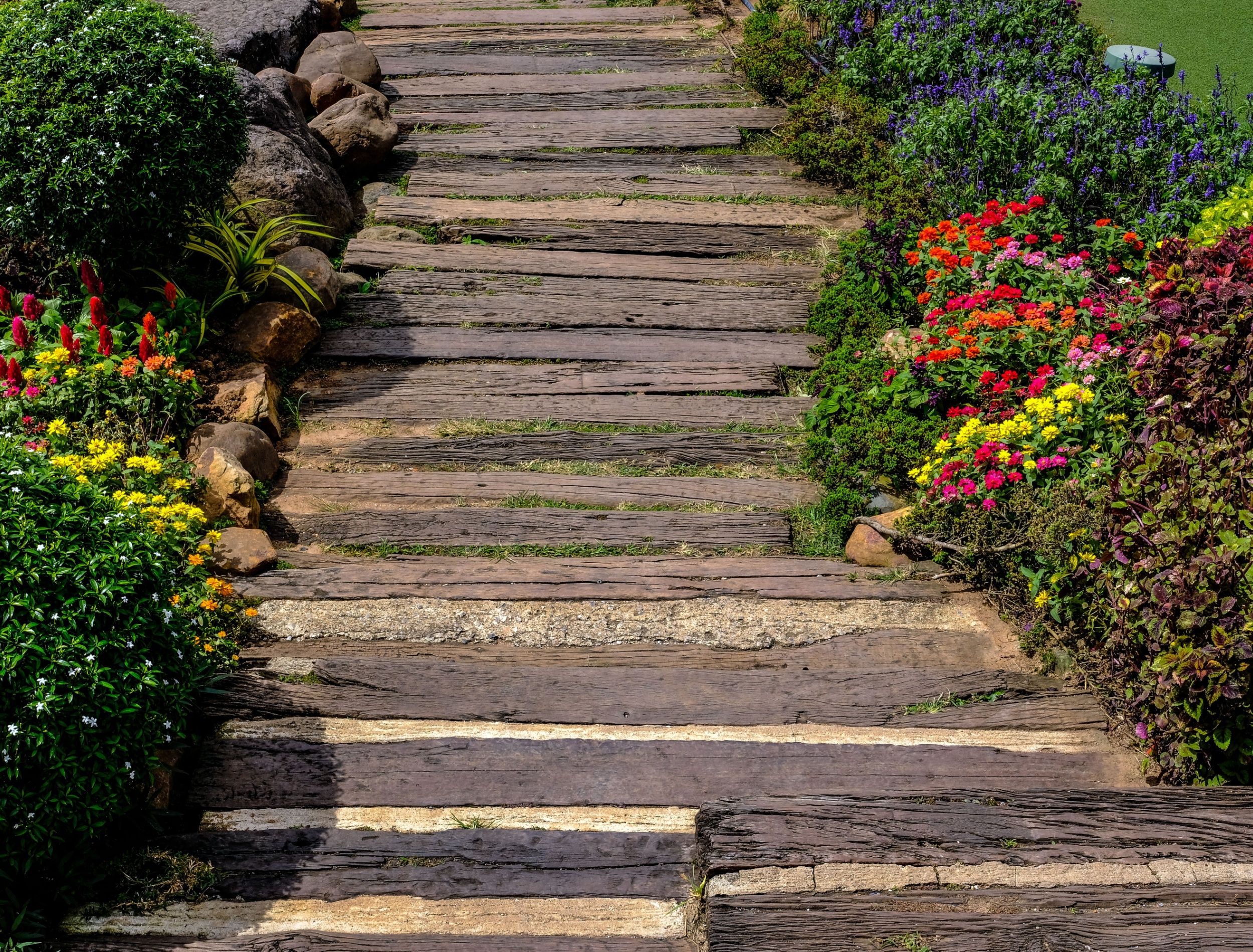 Build a Show-Stopping Garden Path Using Wooden Planks